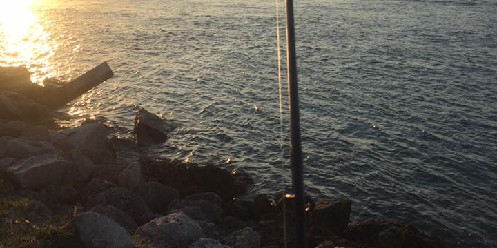 Rod Basics – Rock Solid Custom Rods