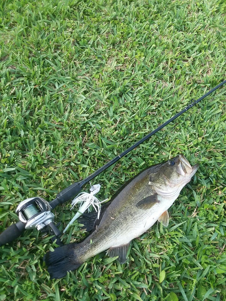 Rock Solid Custom Rods - Light Conventional Rods